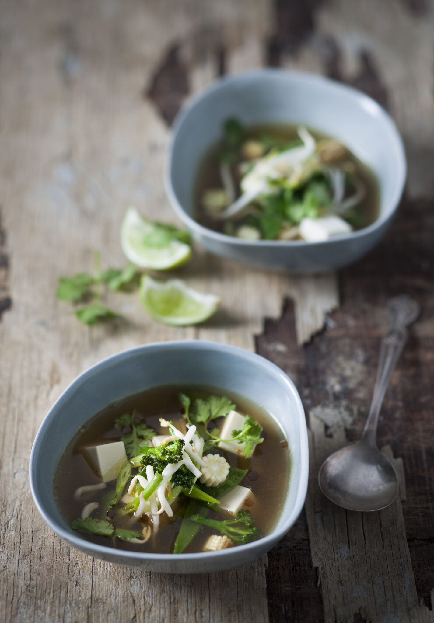 ORIENTAL TOFU & VEGGIE BROTH - NOMU