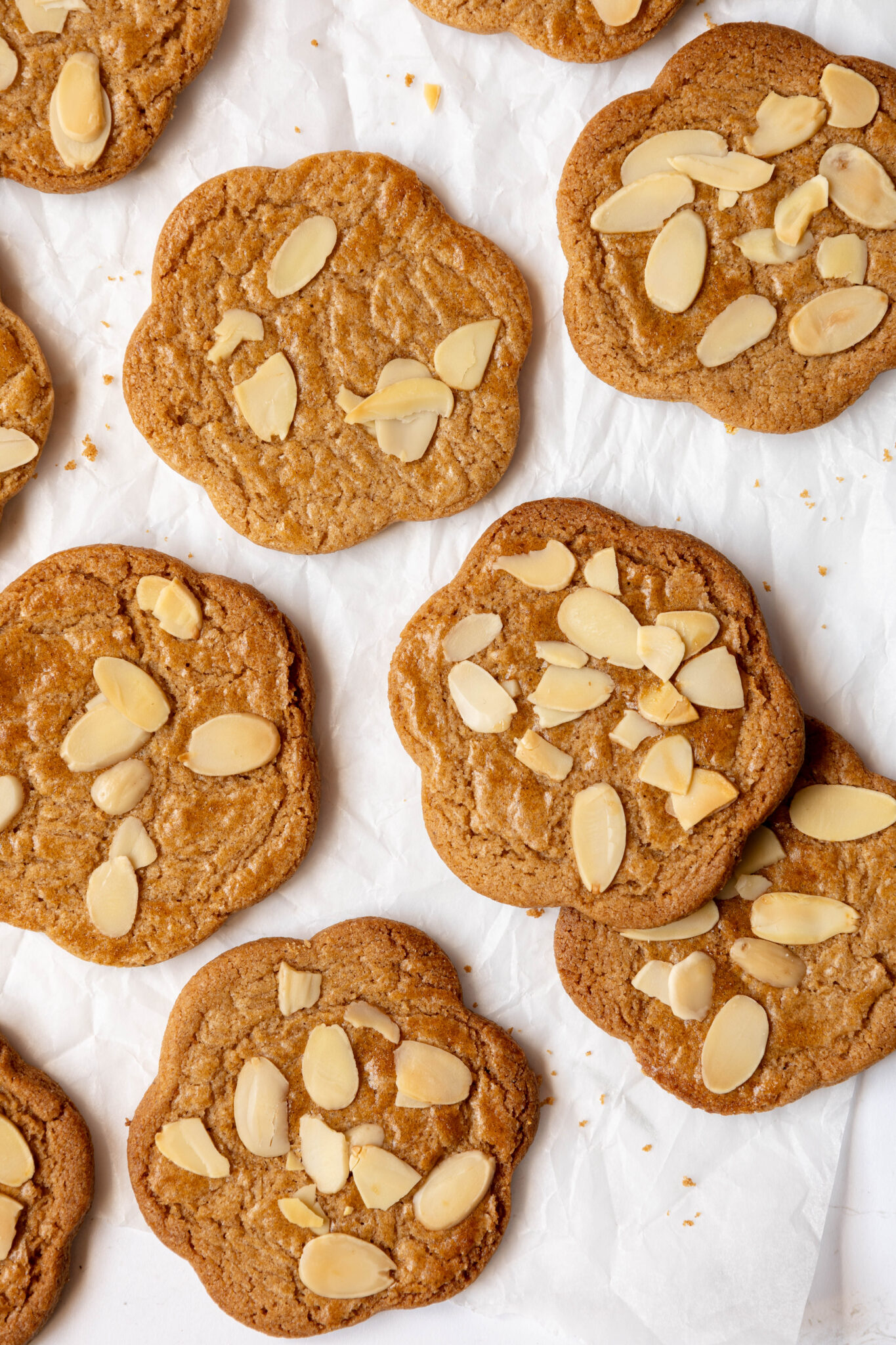 Speculaas cookies - NOMU